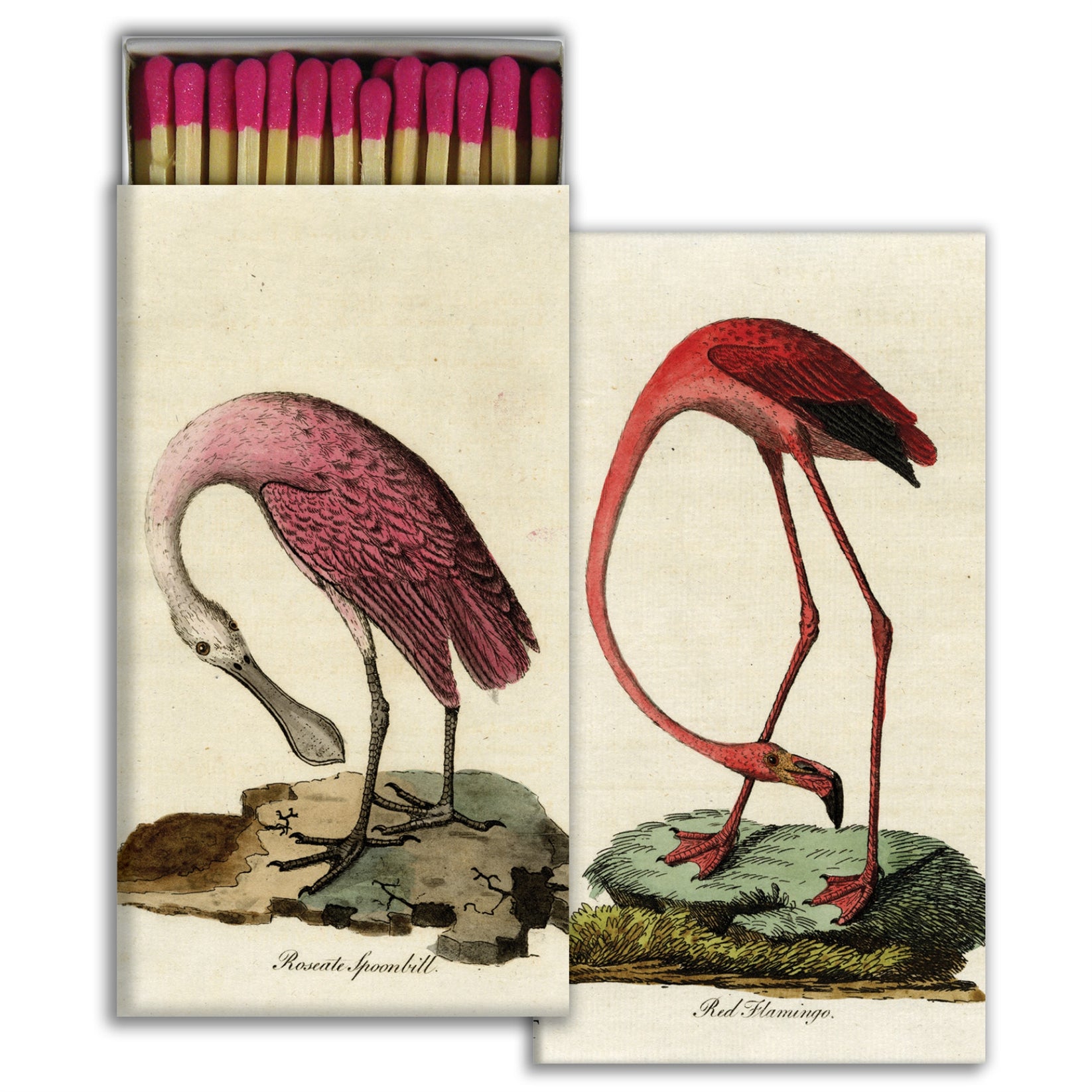 Matches - Flamingo & Spoonbill – CARLYLE AVENUE