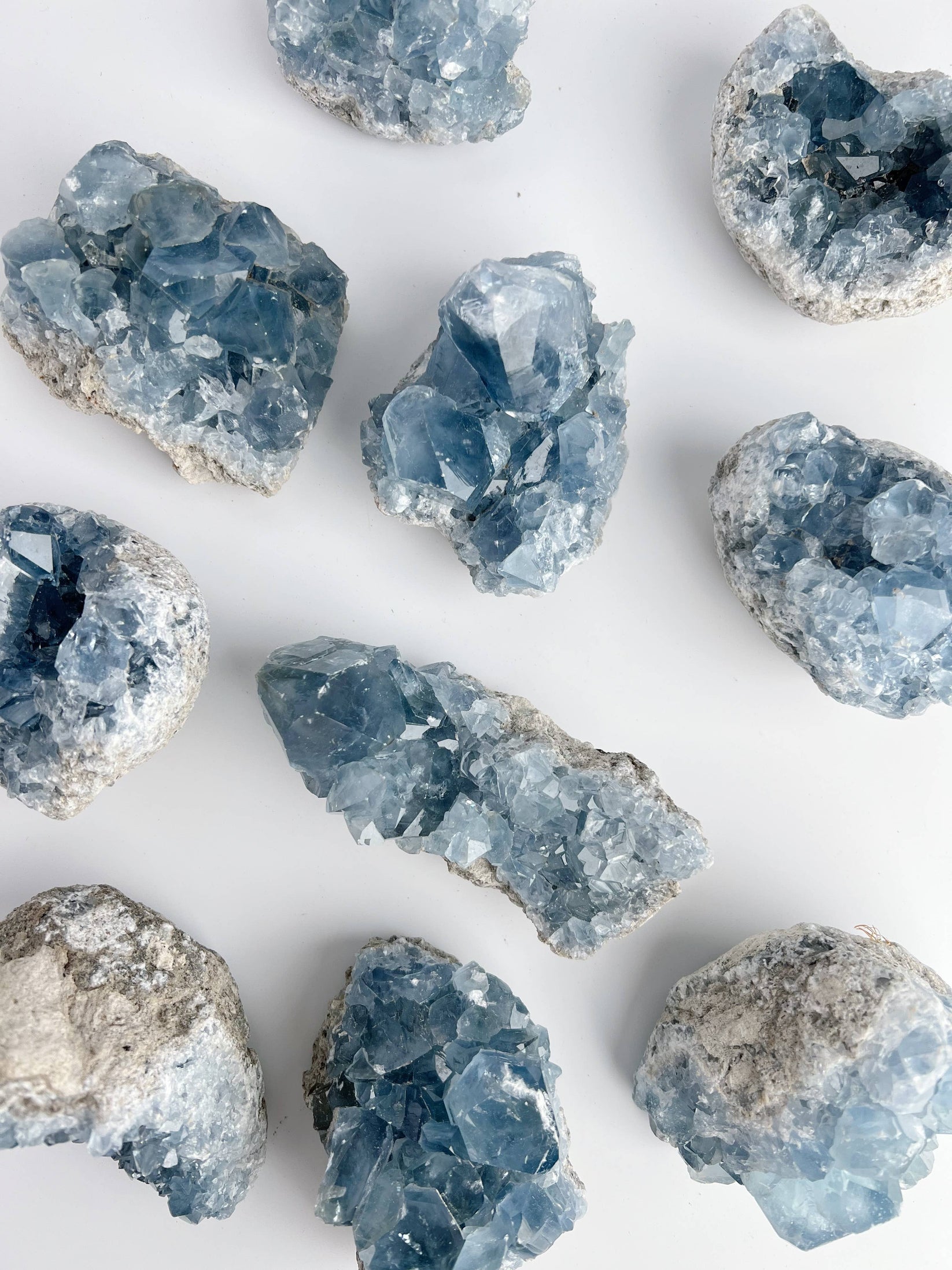 Blue Celestite Crystal Geodes - Large – CARLYLE AVENUE