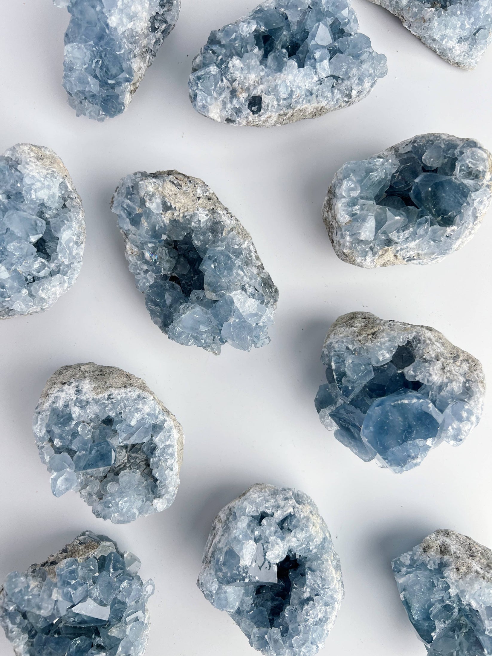 Blue Celestite Crystal Geodes - Large – CARLYLE AVENUE