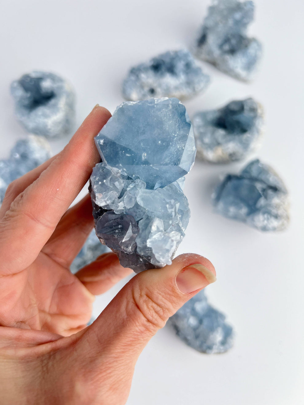 Blue Celestite Crystal Geodes - Large – CARLYLE AVENUE