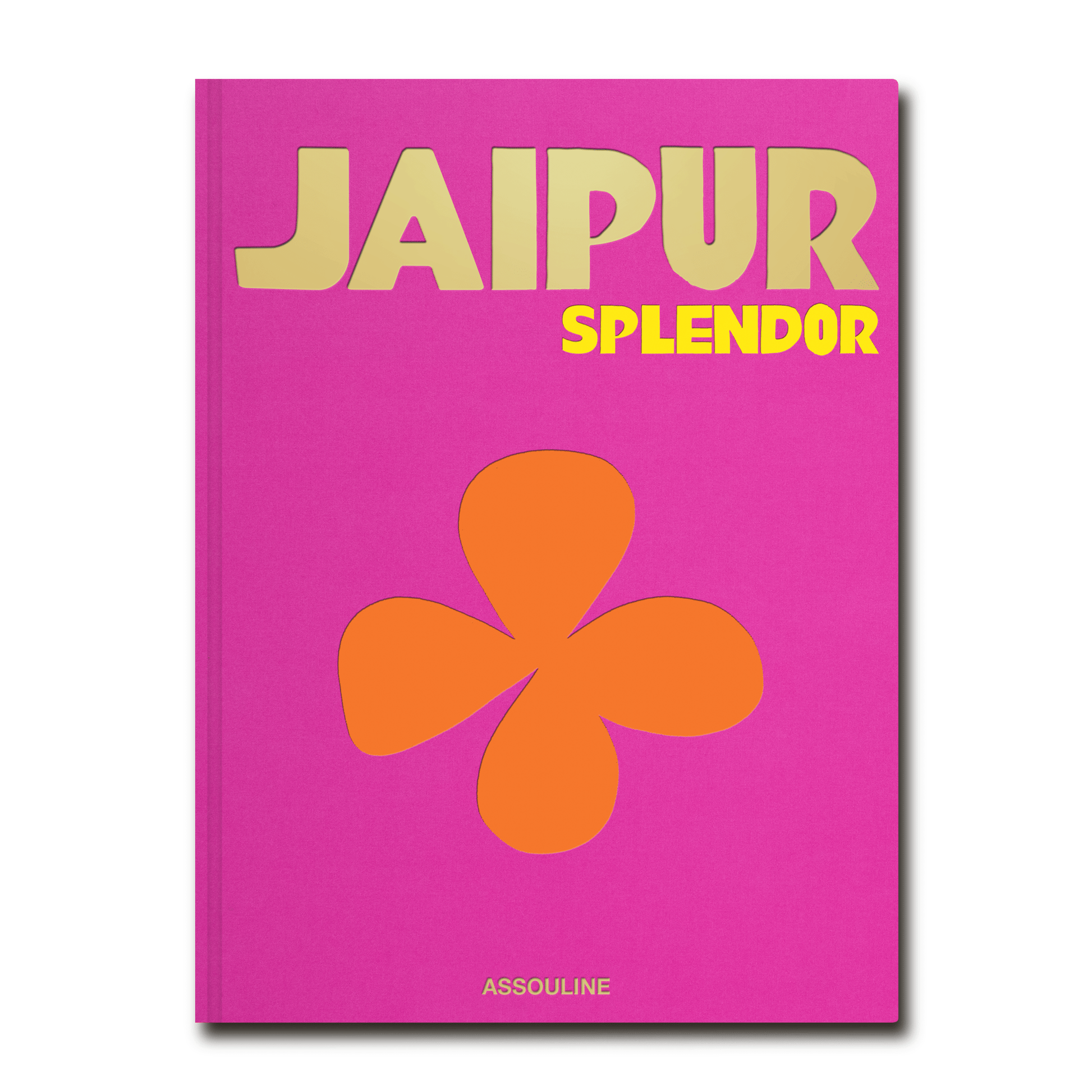 Jaipur Splendor – CARLYLE AVENUE
