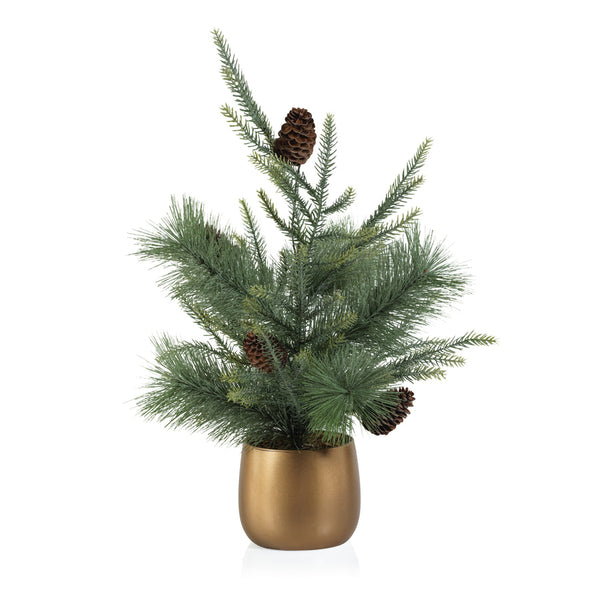 Noble Fir Tree in Gold Ceramic Pot – CARLYLE AVENUE