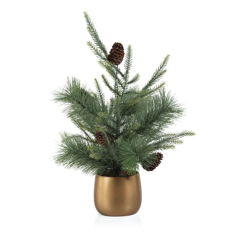 Noble Fir Tree in Gold Ceramic Pot – CARLYLE AVENUE