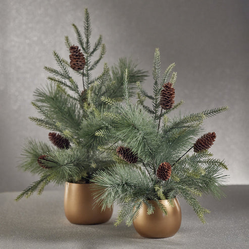 Noble Fir Tree in Gold Ceramic Pot – CARLYLE AVENUE