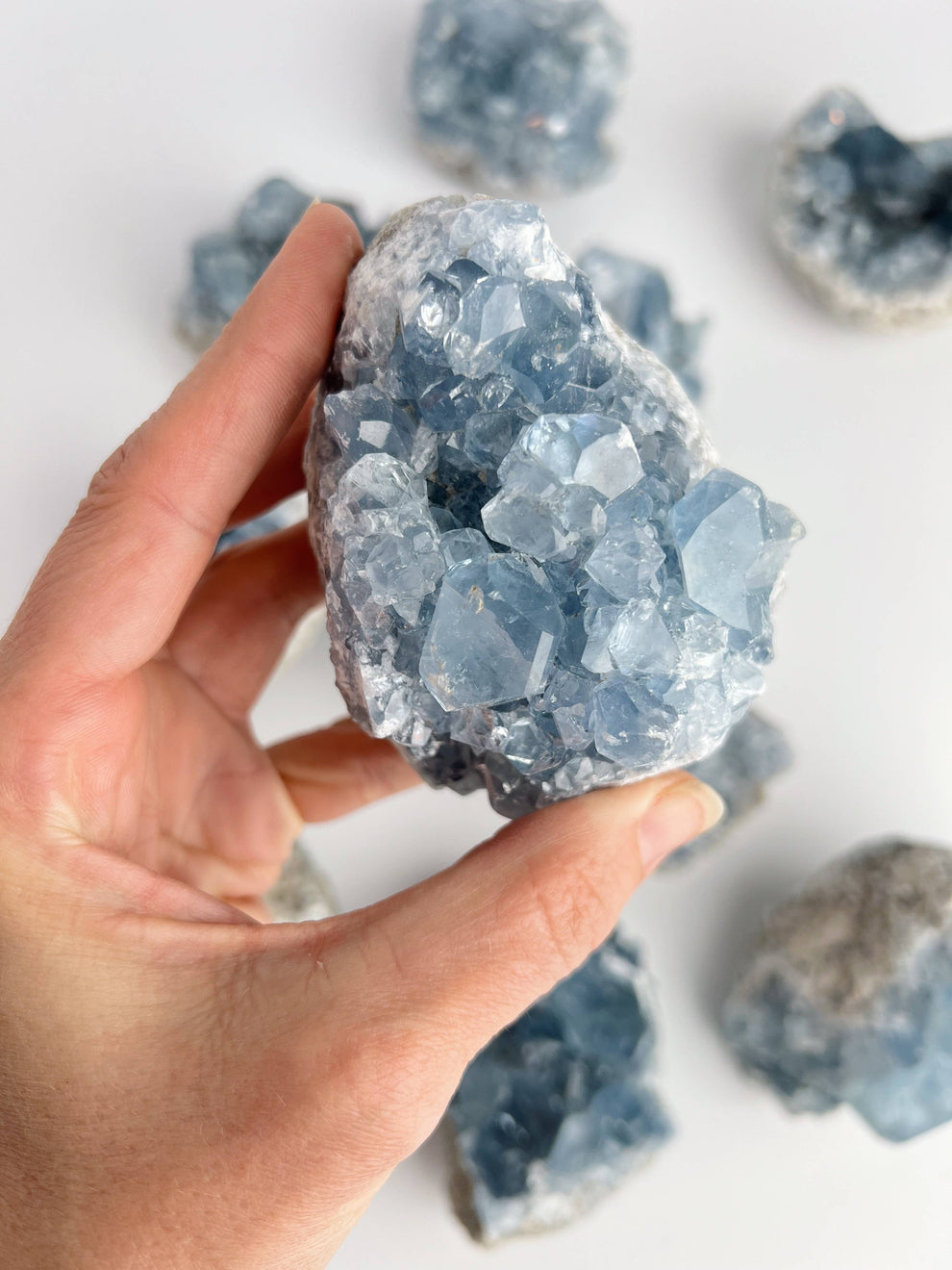 Blue Celestite Crystal Geodes - Large – CARLYLE AVENUE