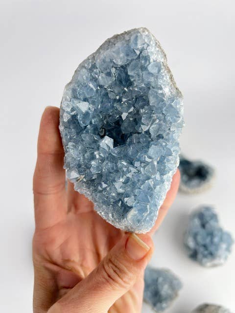 Blue Celestite Crystal Geodes - Large – CARLYLE AVENUE