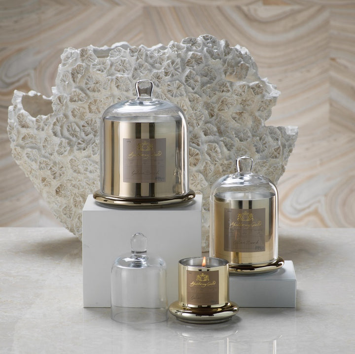 Apothecary Guild Collection – CARLYLE AVENUE