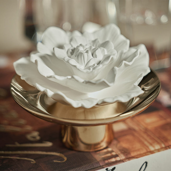 Apothecary Guild Inspire Porcelain Diffuser – CARLYLE AVENUE