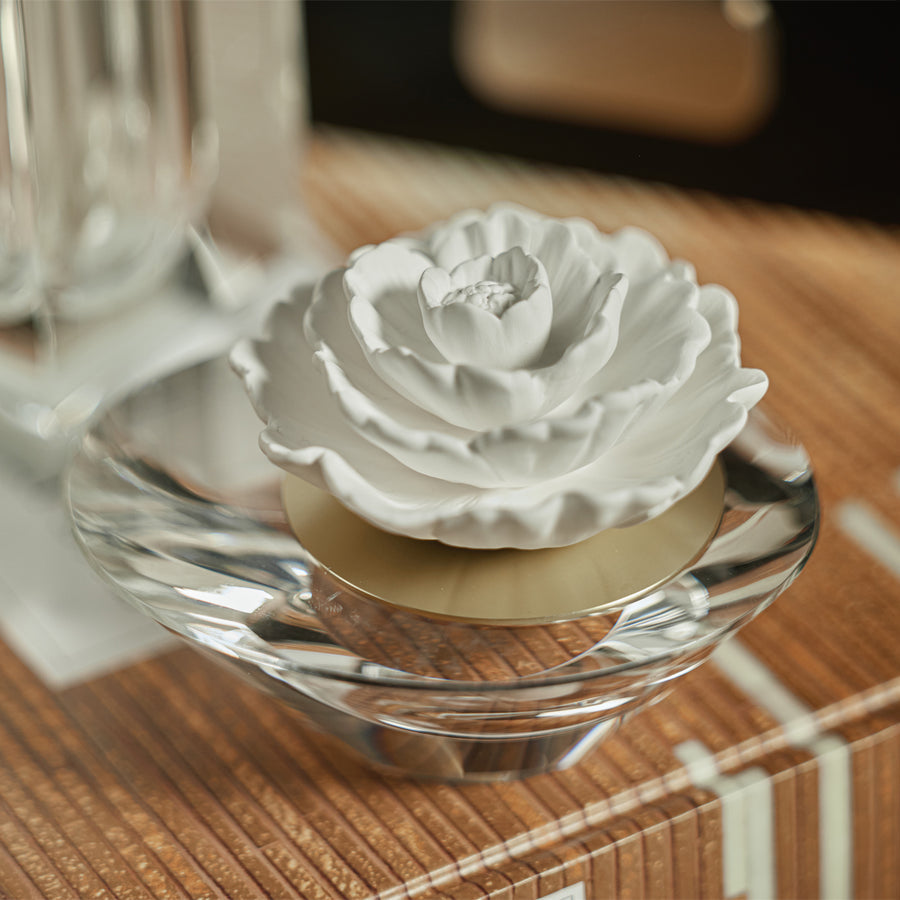 Dream Mini Porcelain Diffuser - Crystal Edition – CARLYLE AVENUE